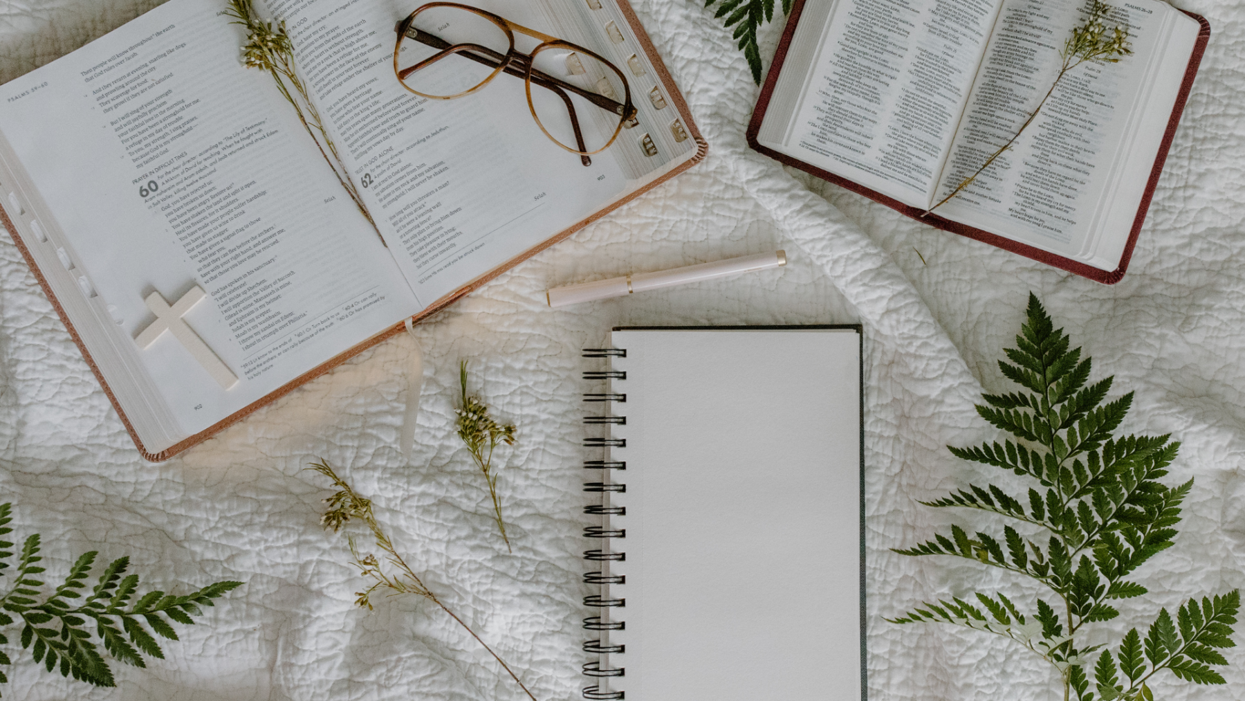 Girlfriends’ Fall Bible Study - Proverbs: The Way of Wisdom - First ...