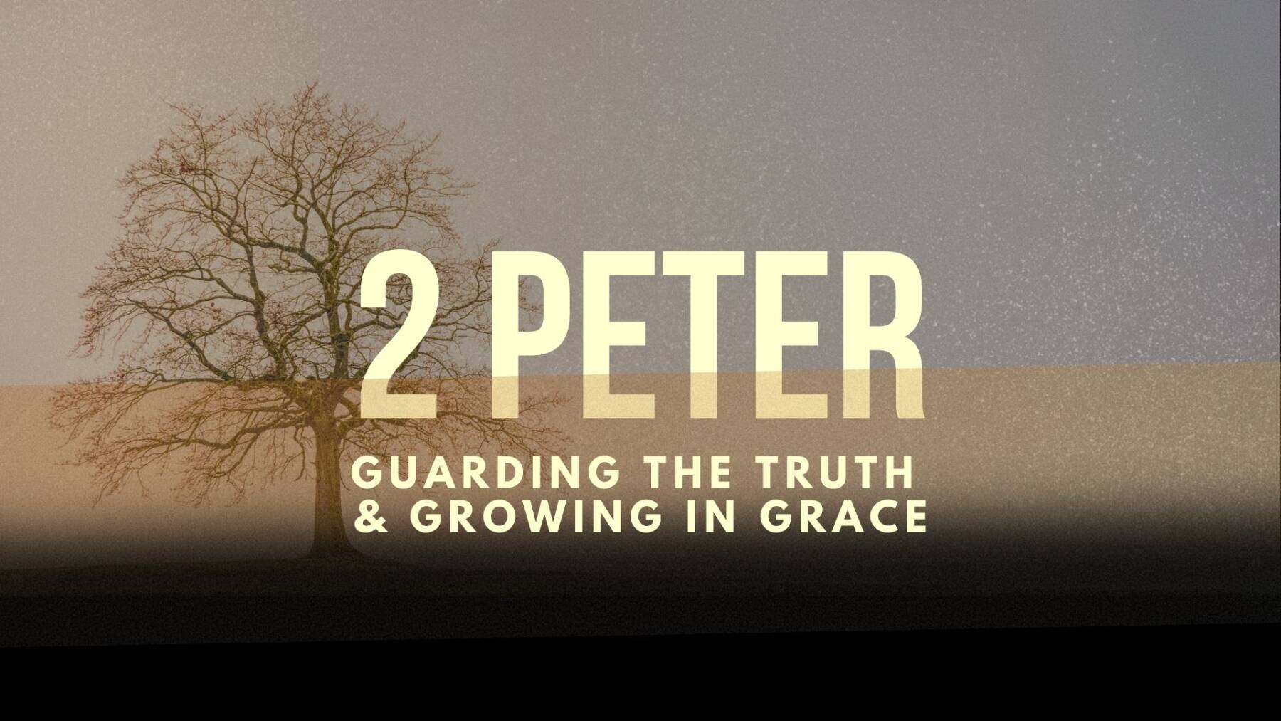 How to Identify and Avoid False Teaching - Zionsville Fellowship Church