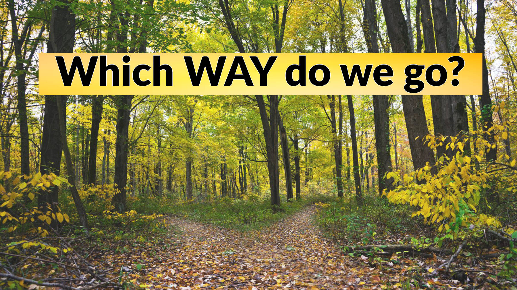 Which WAY do we go? - Liverpool First United Methodist Church