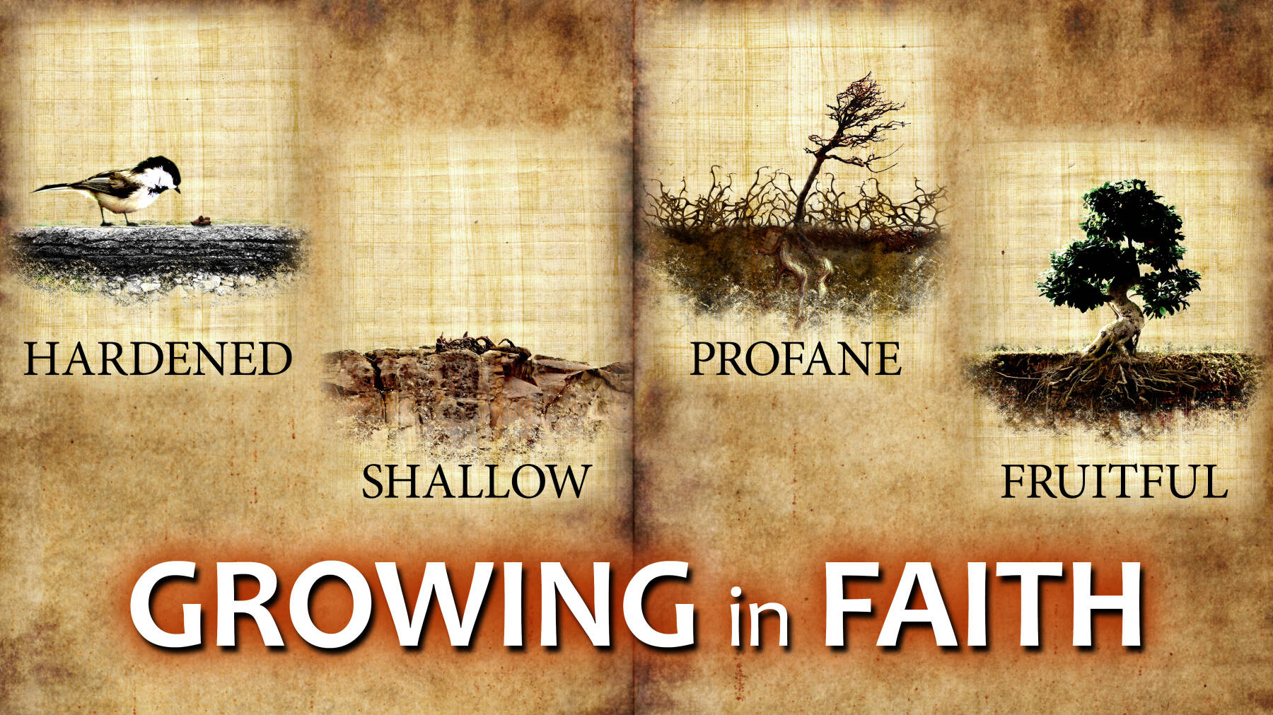 Growing in Faith - Liverpool First United Methodist Church