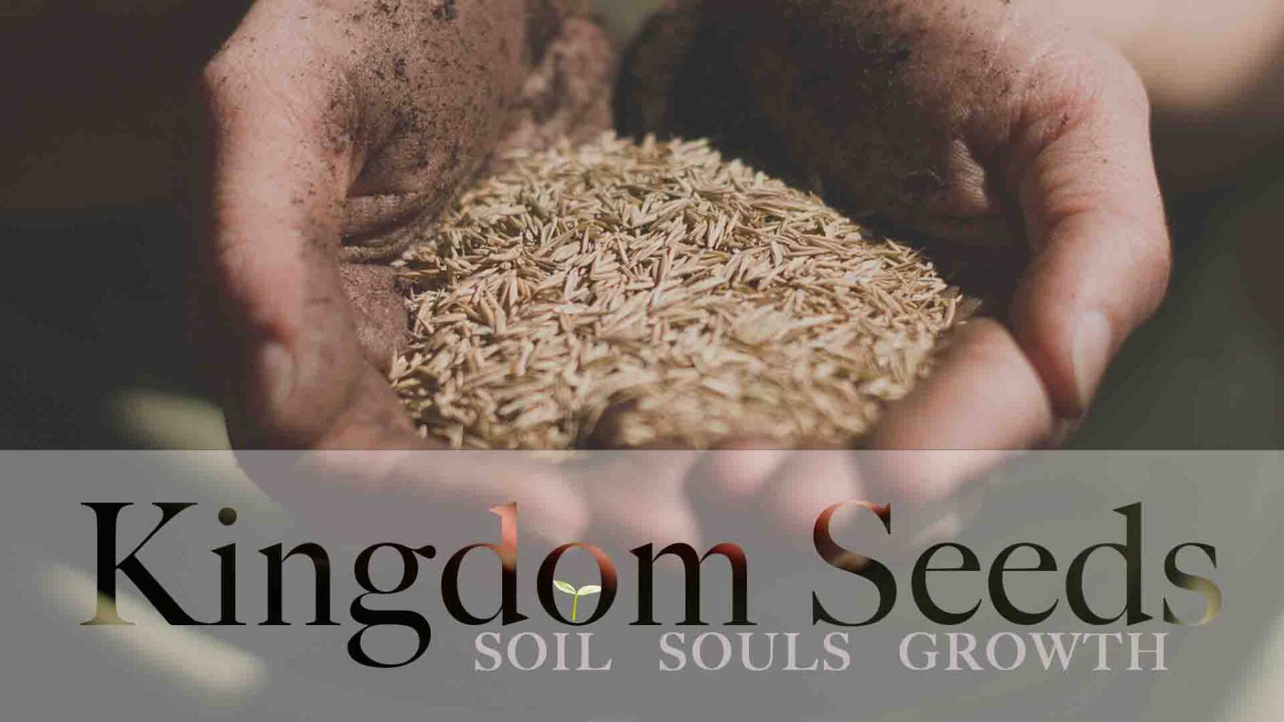 Kingdom Seeds - Life Lift Church