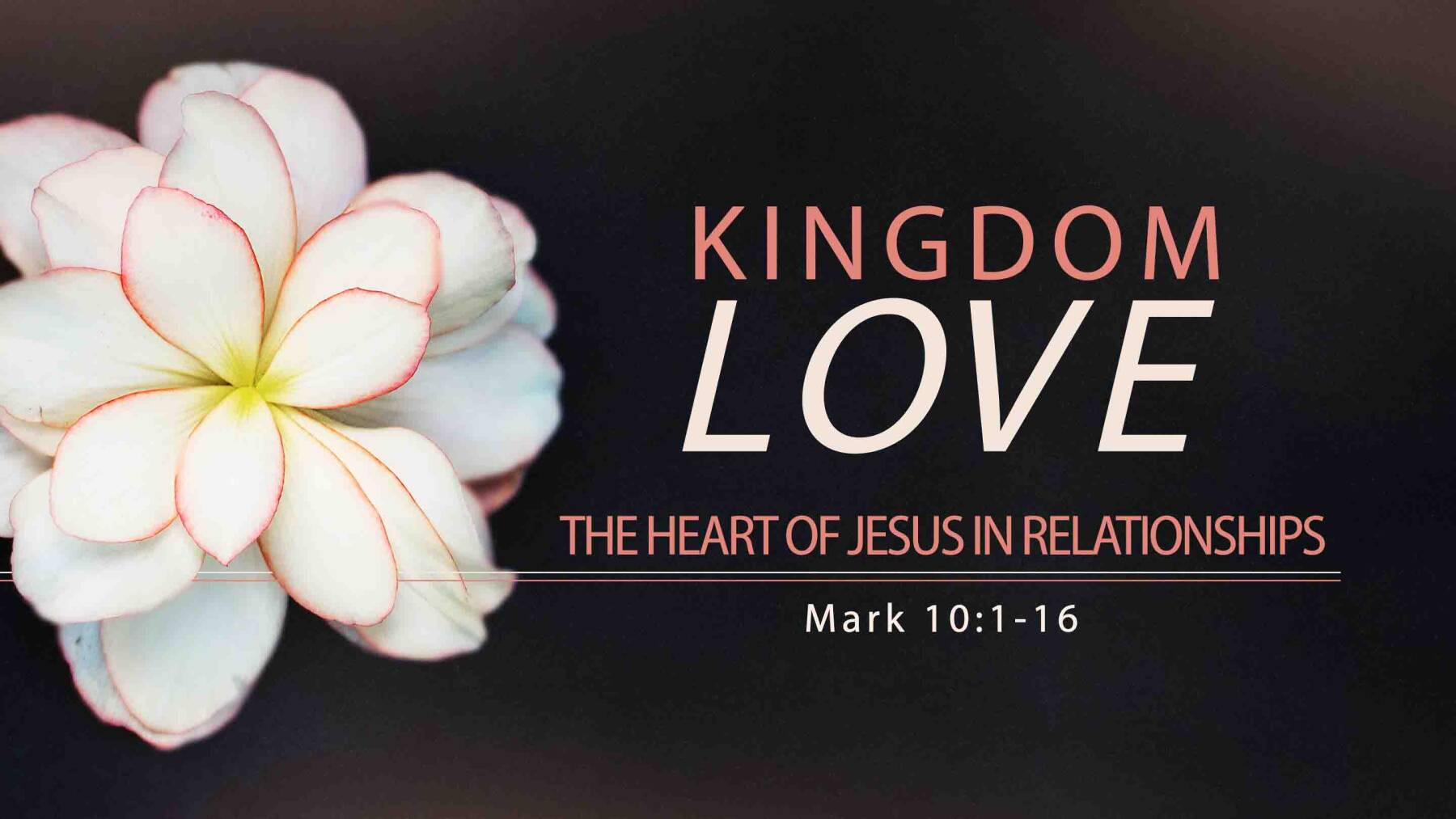 Kingdom Love: The Heart of Jesus in Relationships - Life Lift Church