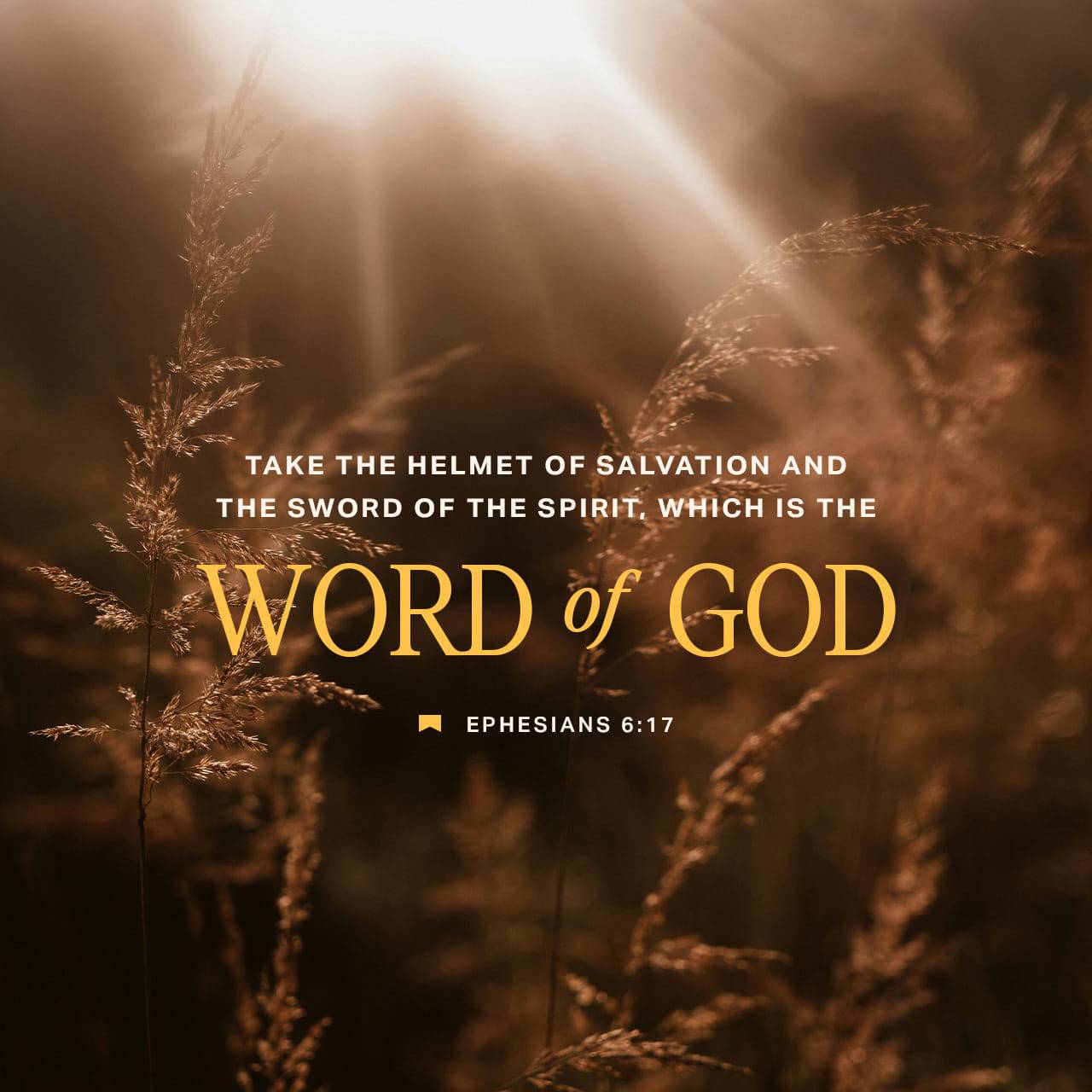 April 6, 2024 - Hollins Road Baptist Church