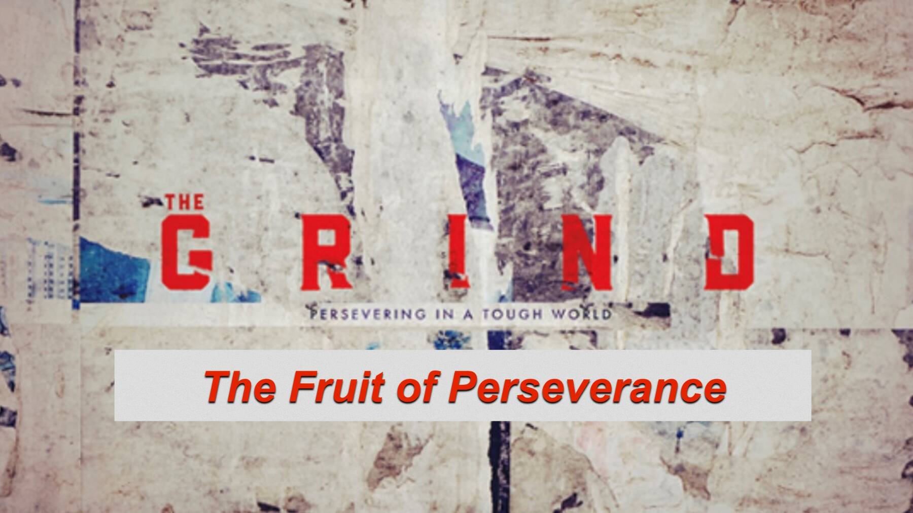 The Fruit of Perseverance - Life Connection Church Orlando