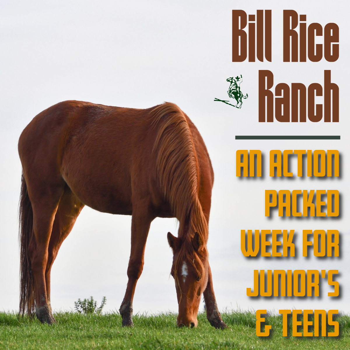 Summer Camp | Bill Rice Ranch | July 7th - 12th - Mount Pisgah Baptist ...