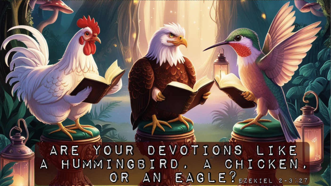 Are Your Devotions Like a Hummingbird, a Chicken, or an Eagle ...