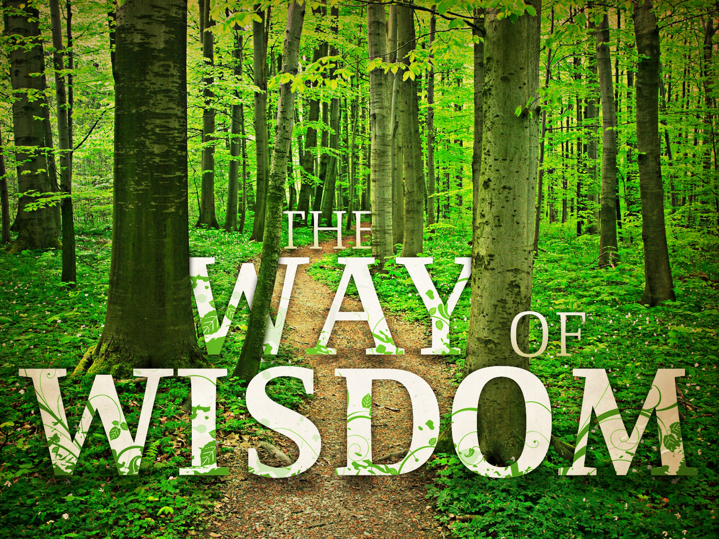 The Way of Wisdom (part 1) - Pathways Community Church