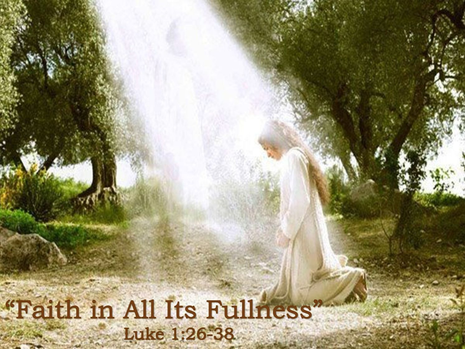 "Faith In It's Fullness" - Trinity Baptist Church