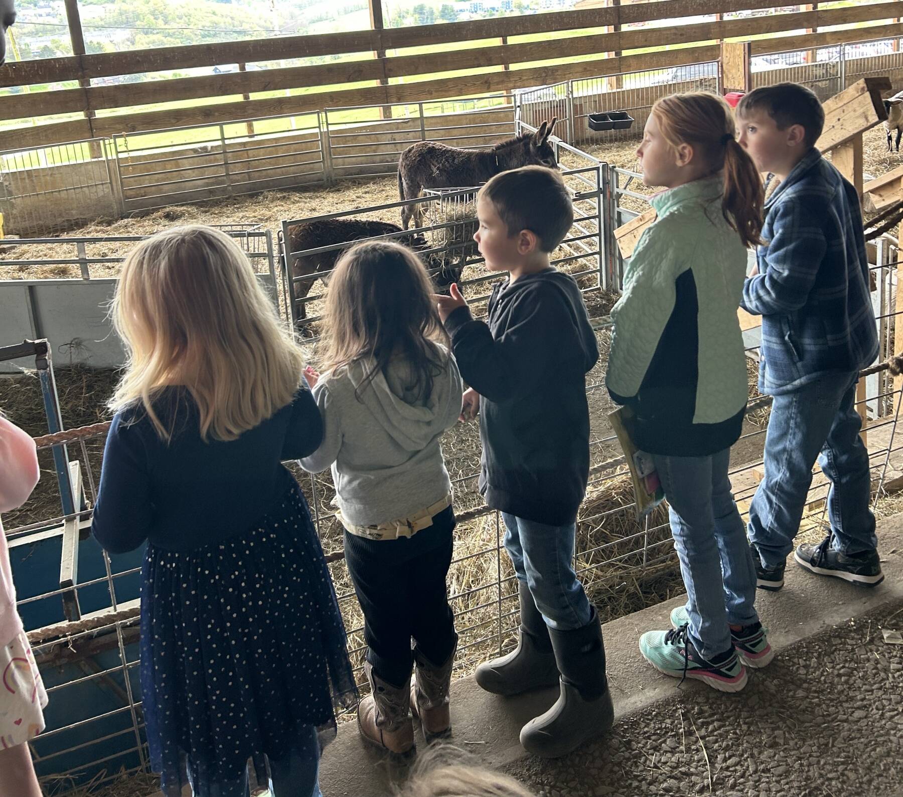 Kiddie Days at The WVU Research Farm - On Target Church