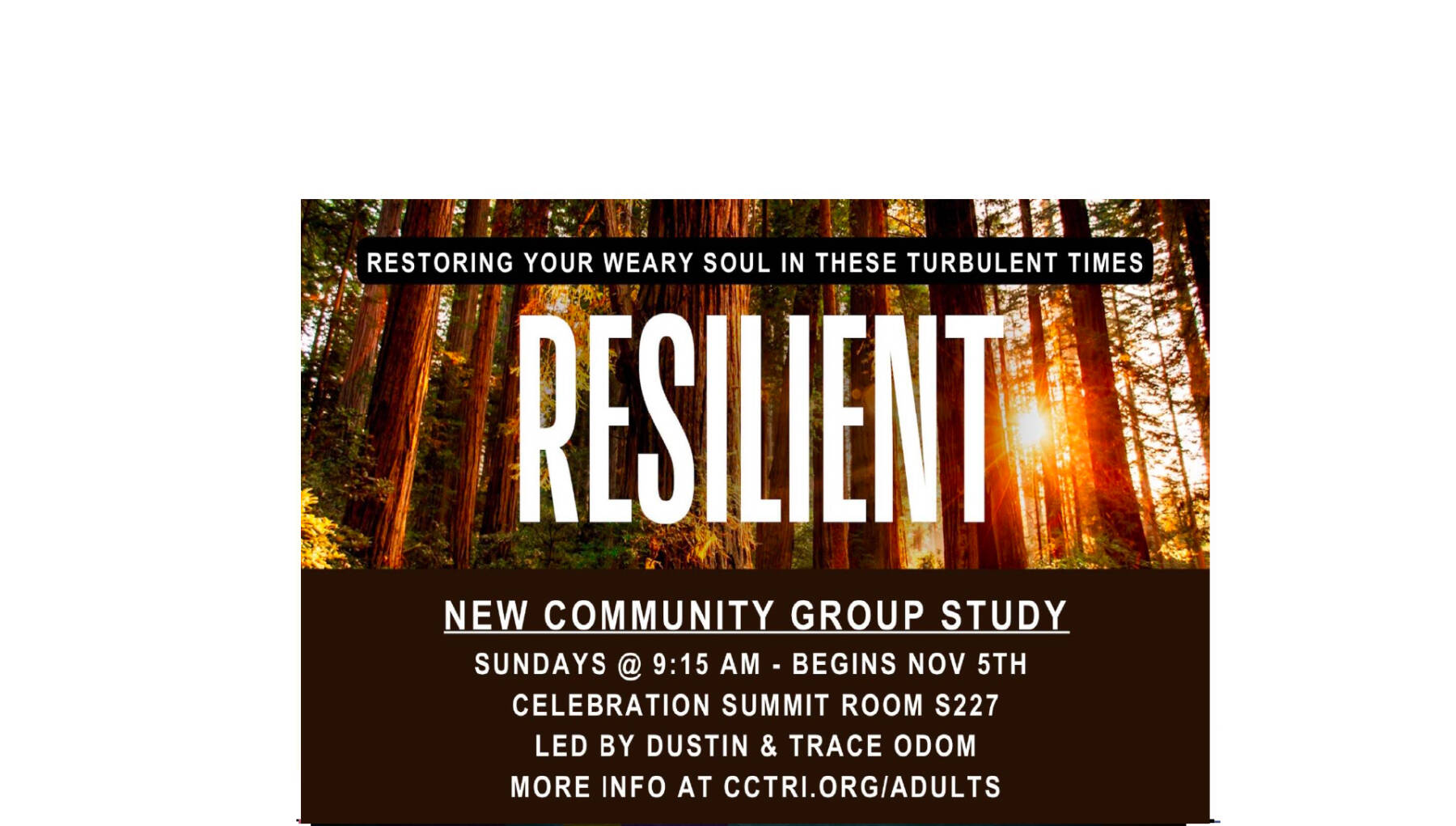 Community Group Study: Resilient - Celebration Church Tri-Cities