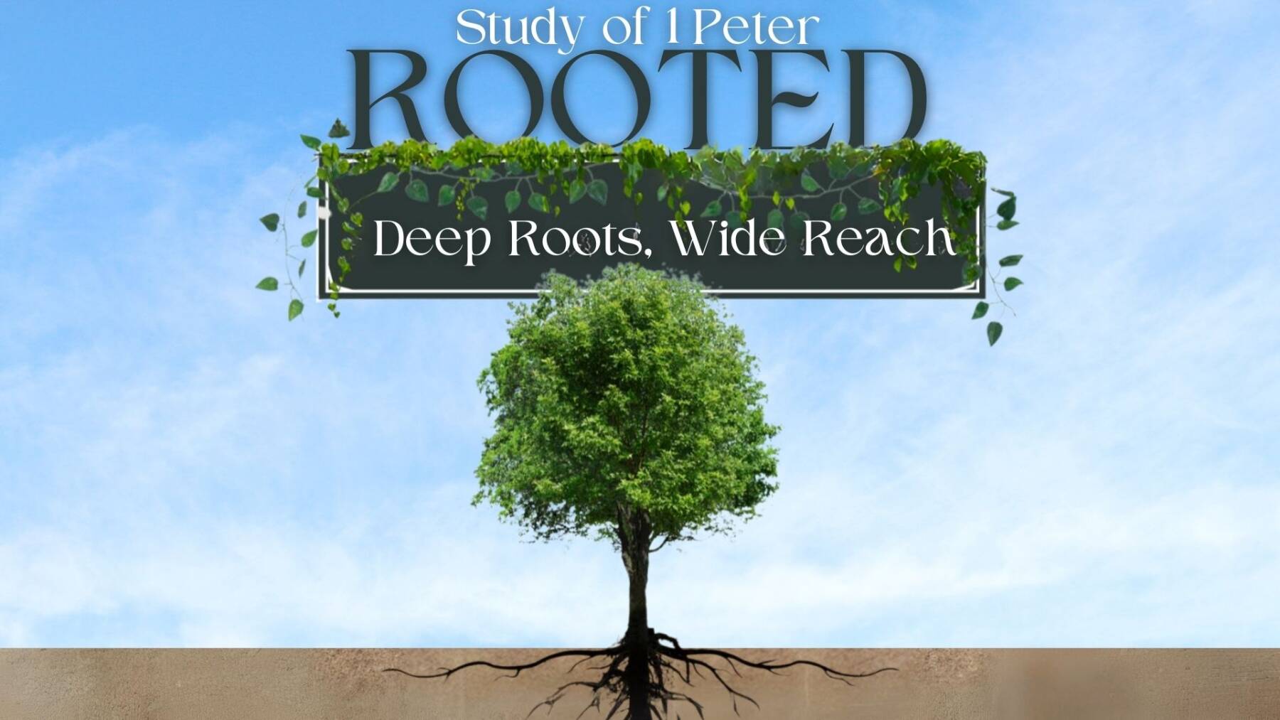 Rooted in Suffering for Christ - Lonoke Baptist Church