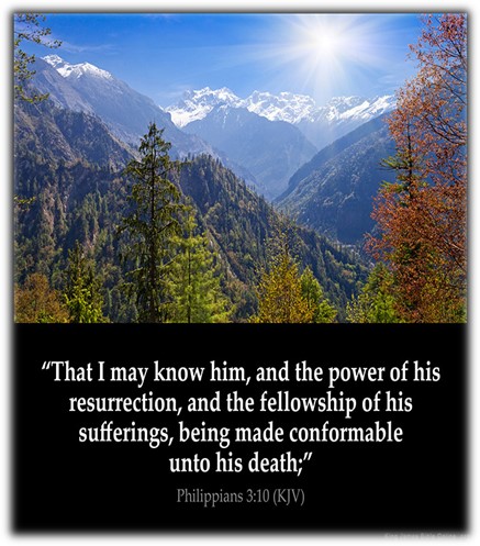 Verse of the Week - Philippians 3:10 – (KJV) - September 15 - September ...