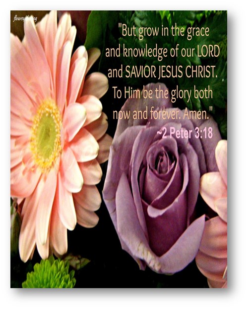 Verse of the Week - 2 Peter 3:18 – (NKJV) - May 19 - May 25 - Bethel ...