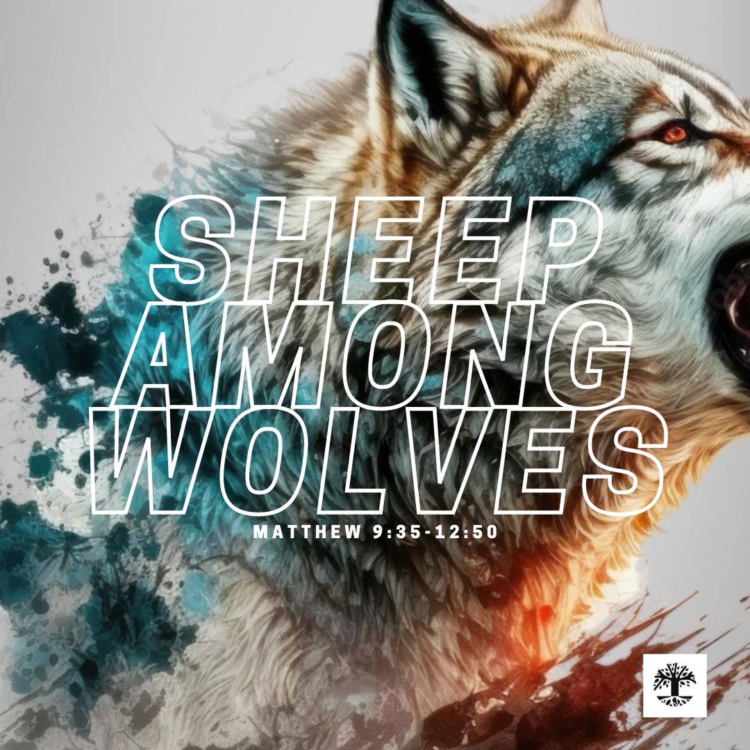 Sheep Among Wolves | The Will of My Father - Sharon Church