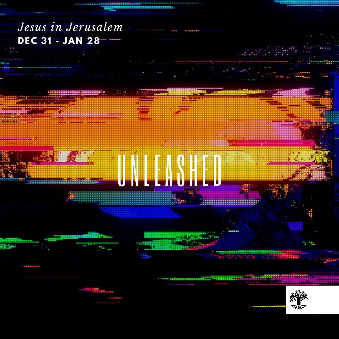 Unleashed | The Fig Tree - Sharon Church
