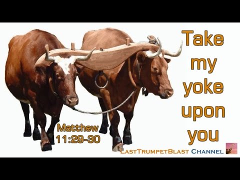 Take Jesus Yoke And Learn From Him - Macedonia AME Church